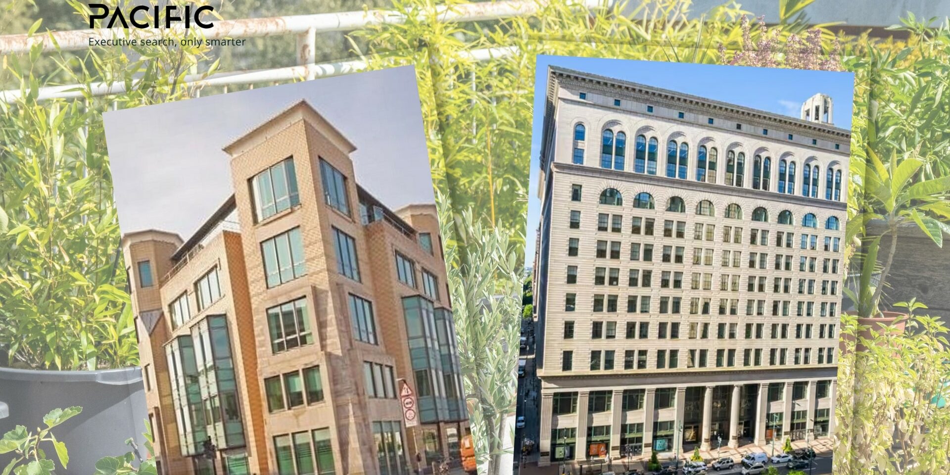 HQ move: Increased demand for Pacific's Executive Search service